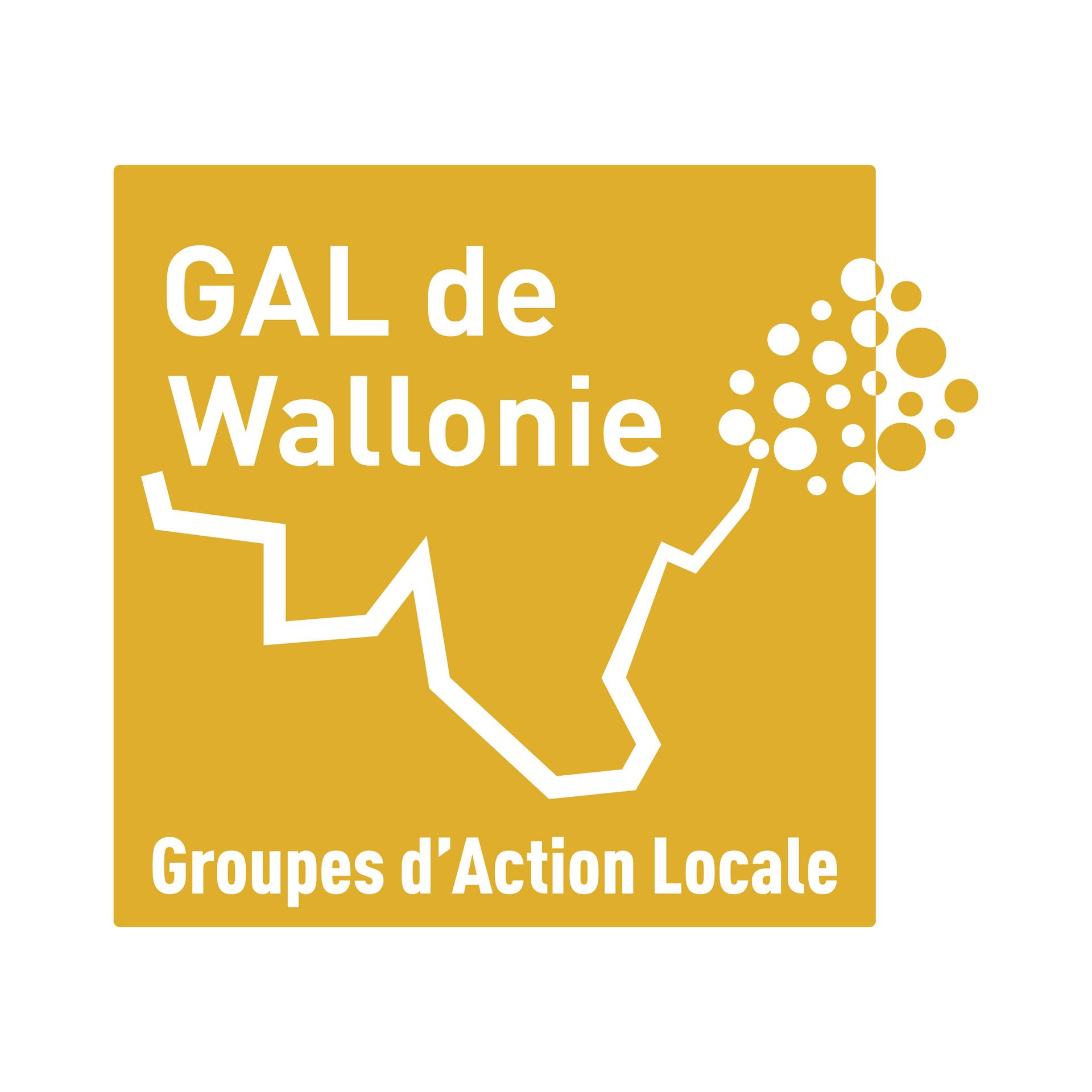 GAL | Groupe action locale